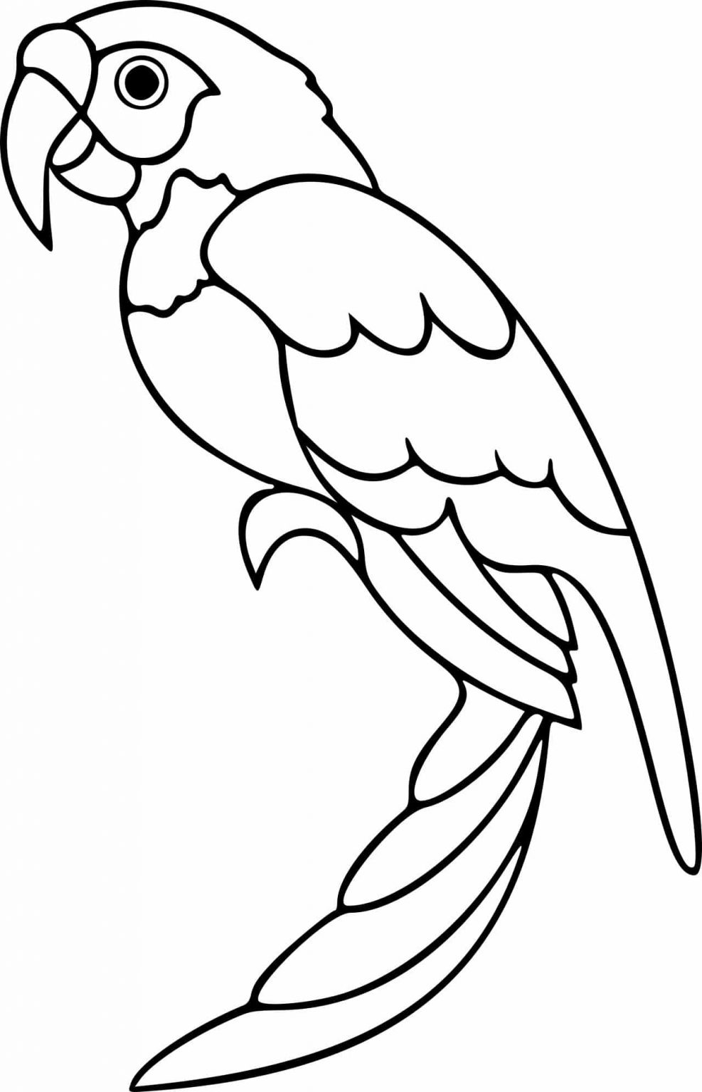 cute parrot coloring pages - Free Kids Coloring Page